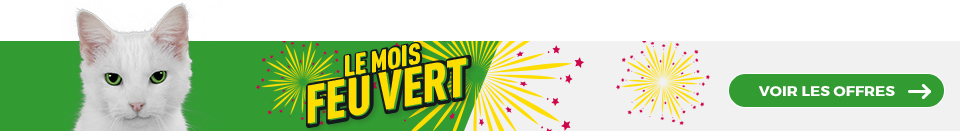 Pneu pas cher, pièces auto, entretien et réparation auto - Feu Vert