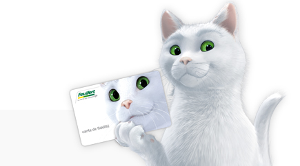 La Carte de Fidélité Feu Vert